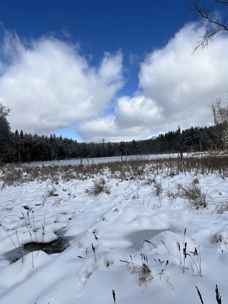 Report to Hikers March 18-March 24 – ithacahikers